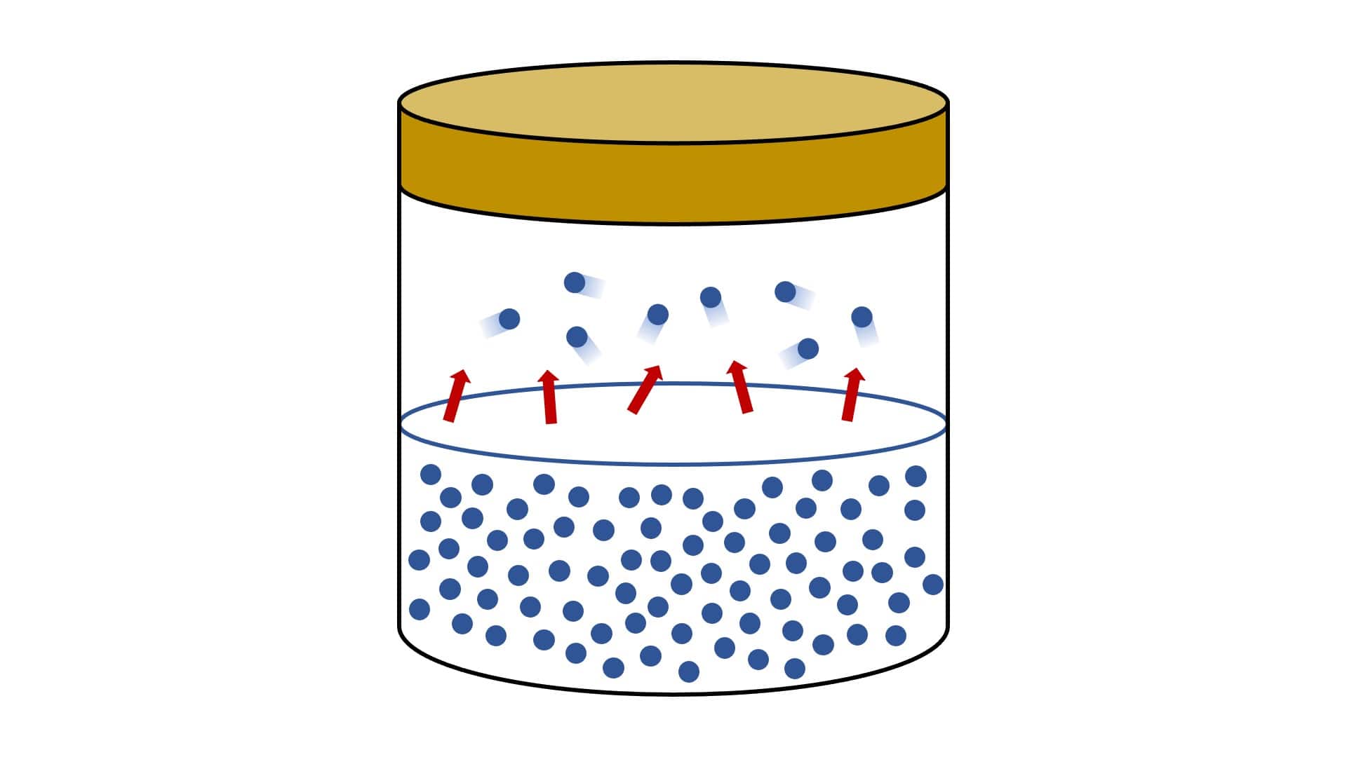 La pressione di vapore - Studente Modello